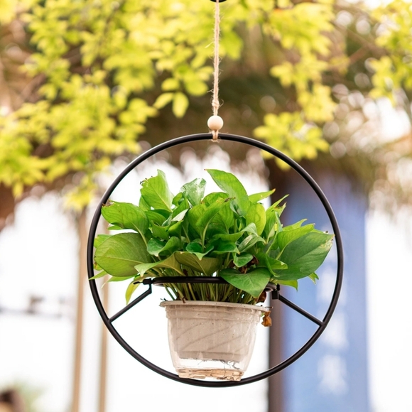 Other | Modern Metal Hanging Hoop Planter For Flower Pot Black | Poshmark